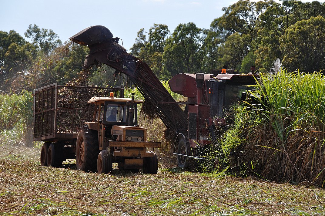 Vintage Ads - Page 12 - General Chat - Red Power Magazine Community