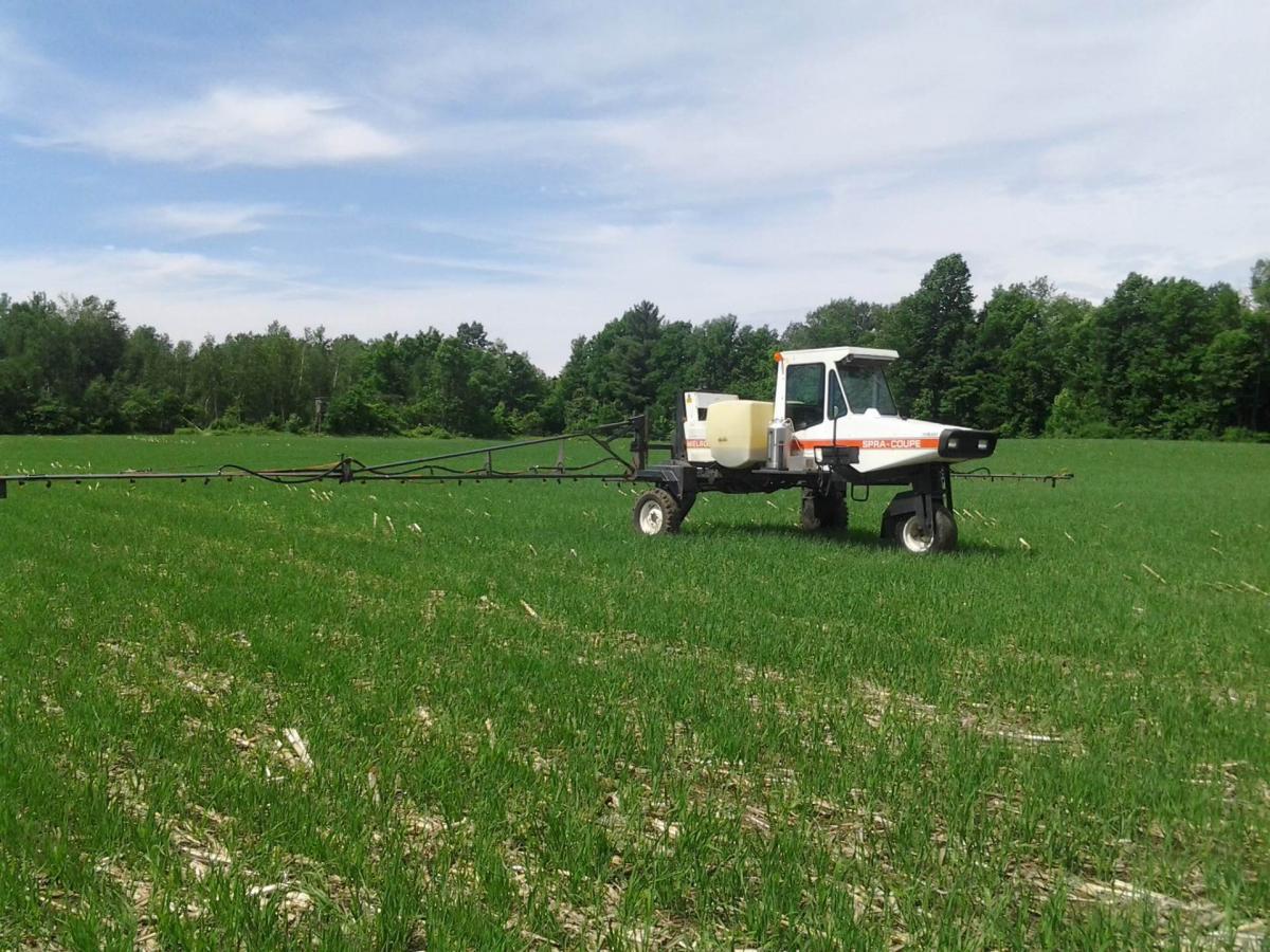 A little spraying today - General Chat - Red Power Magazine Community