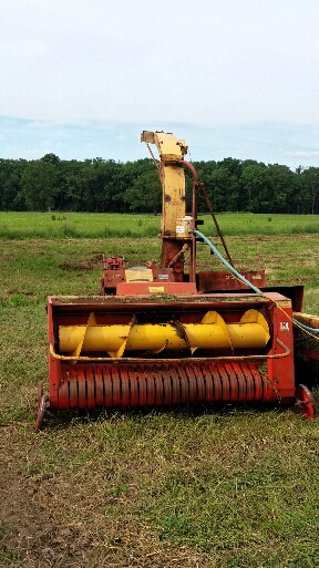 chopping first cutting hay with the Fox chopper - General Chat - Red ...
