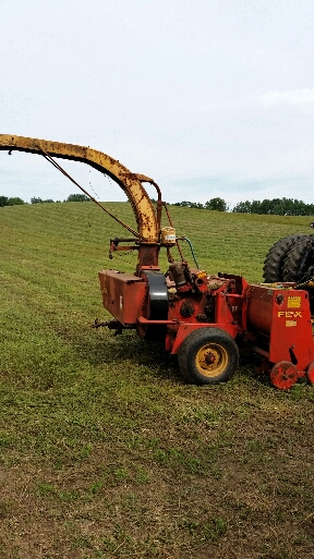 chopping first cutting hay with the Fox chopper - General Chat - Red ...