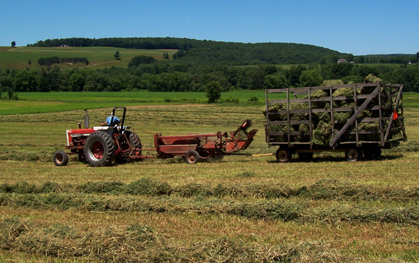 Thinking of building a 2 post ROPS on my 1066 - General Chat - Red ...