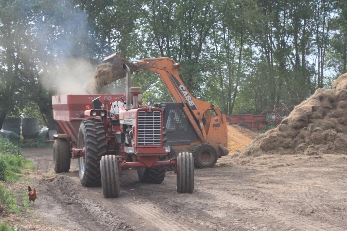 Anybody still using IH for chores - General Chat - Red Power Magazine ...