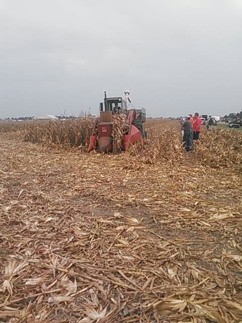 neat way to pick corn - General Chat - Red Power Magazine Community