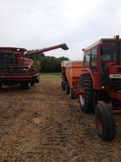Red equipment on our farm- Lots of Pics - Technical IH Talk - Red Power ...