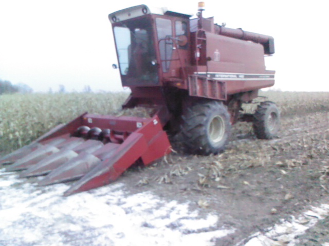 the worst corn year ever! - General Chat - Red Power Magazine Community