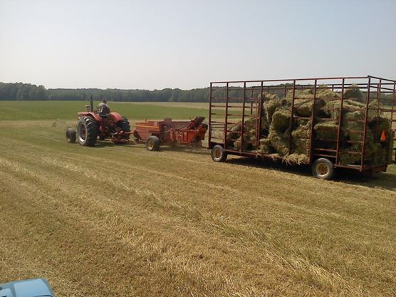 just some random farm pictures - General Chat - Red Power Magazine ...