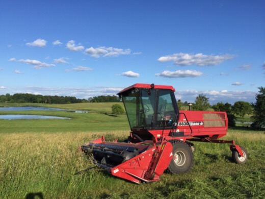 Cutting hay - General Chat - Red Power Magazine Community