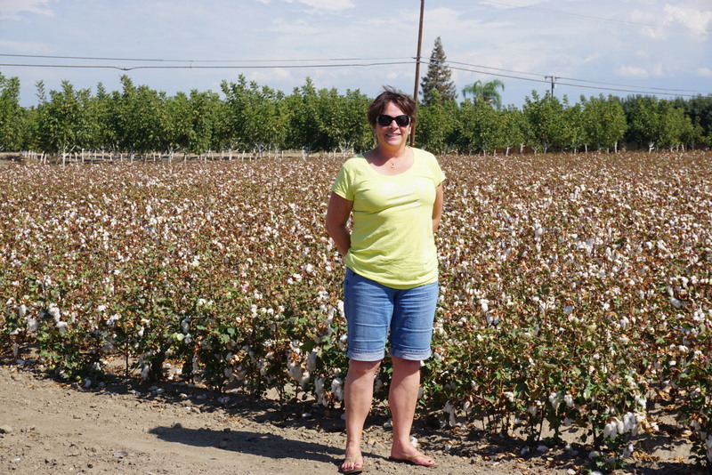 Hoping to Add a little beauty to the Ugliness in our Country - General ...