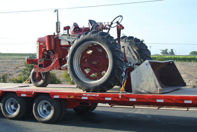 Hoping to Add a little beauty to the Ugliness in our Country - General ...