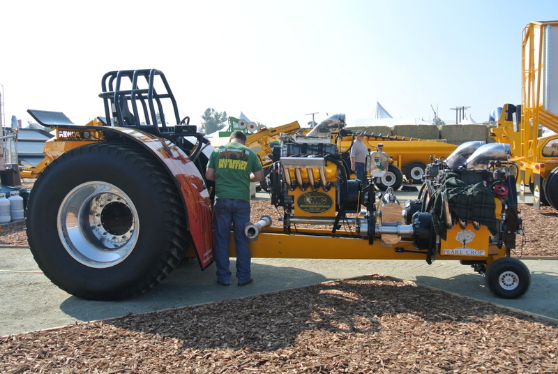 Hoping to Add a little beauty to the Ugliness in our Country - General ...