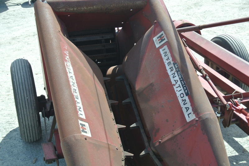 Hoping to Add a little beauty to the Ugliness in our Country - General ...