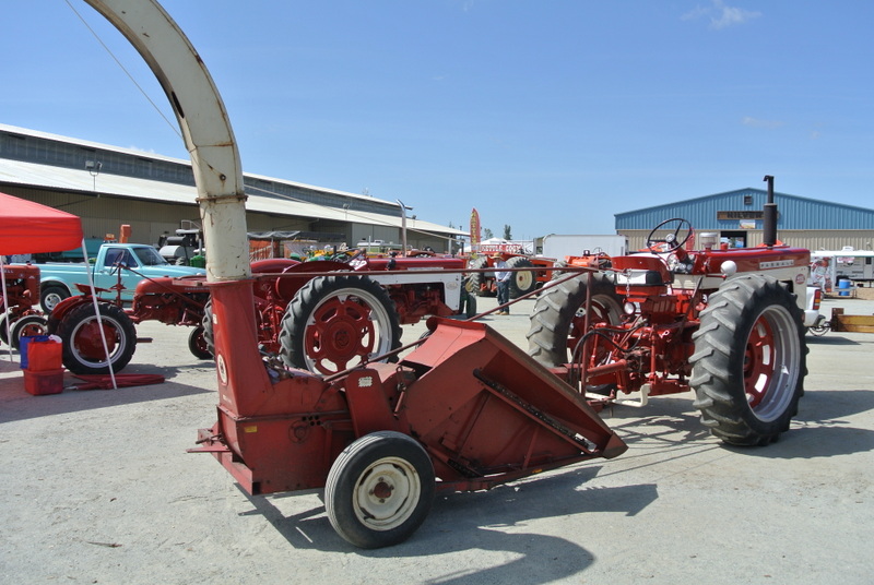 Hoping to Add a little beauty to the Ugliness in our Country - General ...