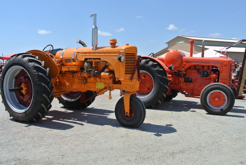 Hoping to Add a little beauty to the Ugliness in our Country - General ...