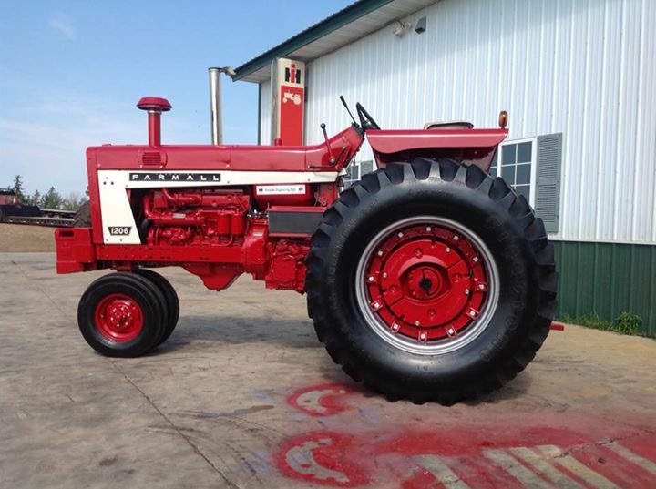 Hoping to Add a little beauty to the Ugliness in our Country - General ...