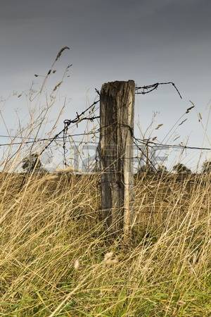 Non-Political Post - General Chat - Red Power Magazine Community