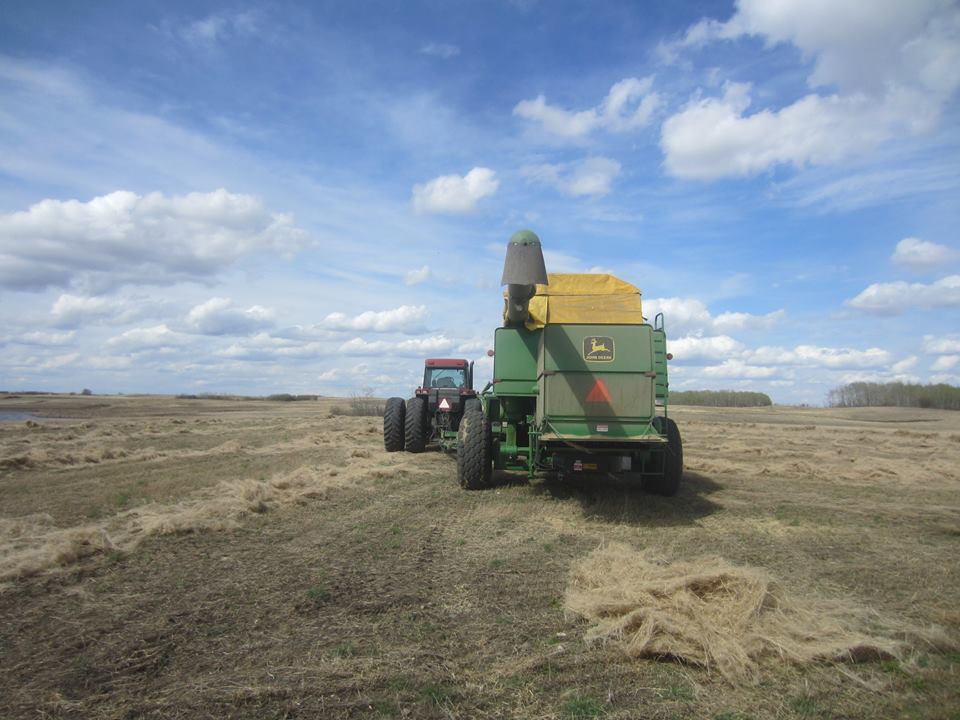 2016 crop pics - Page 14 - General Chat - Red Power Magazine Community