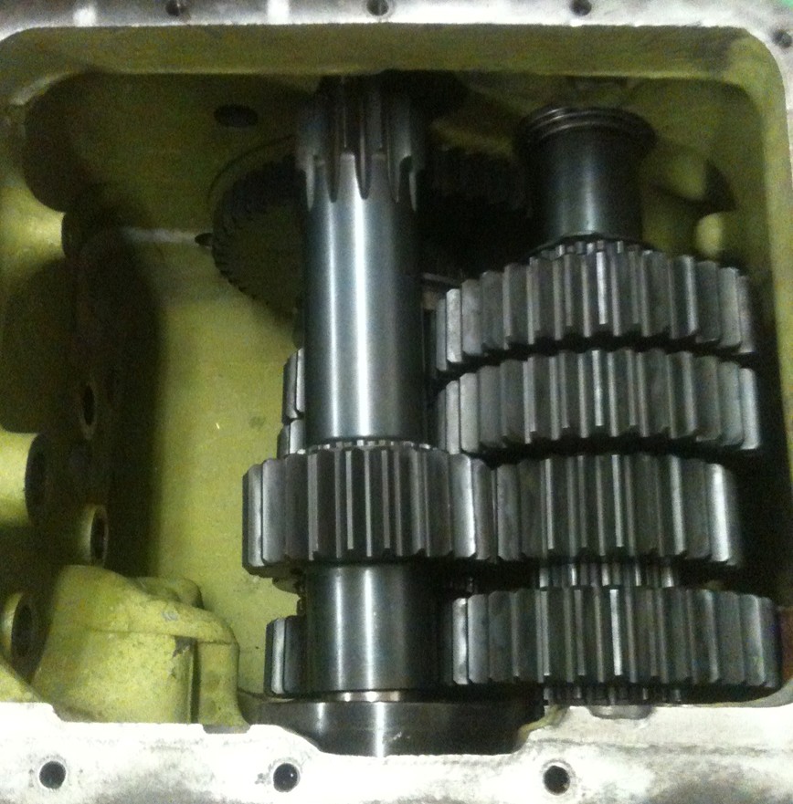 COLOR CLASH photo.. - General Chat - Red Power Magazine Community