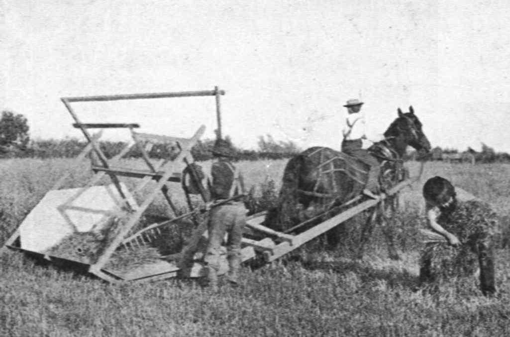 IH Tractors on Montana Farm - Page 717 - General Chat - Red Power ...