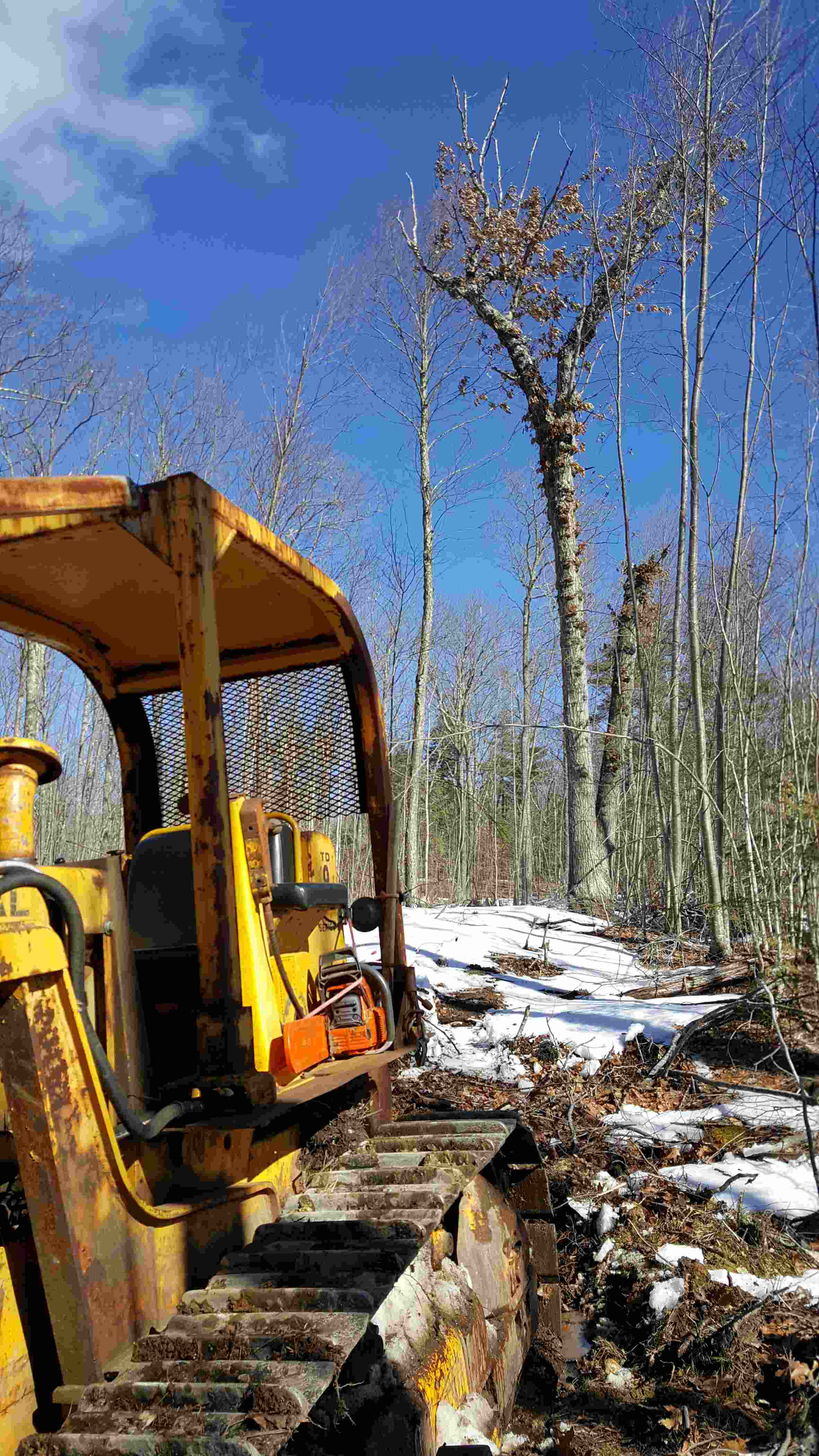 Winter cat logging - IH Construction Equipment - Red Power Magazine ...