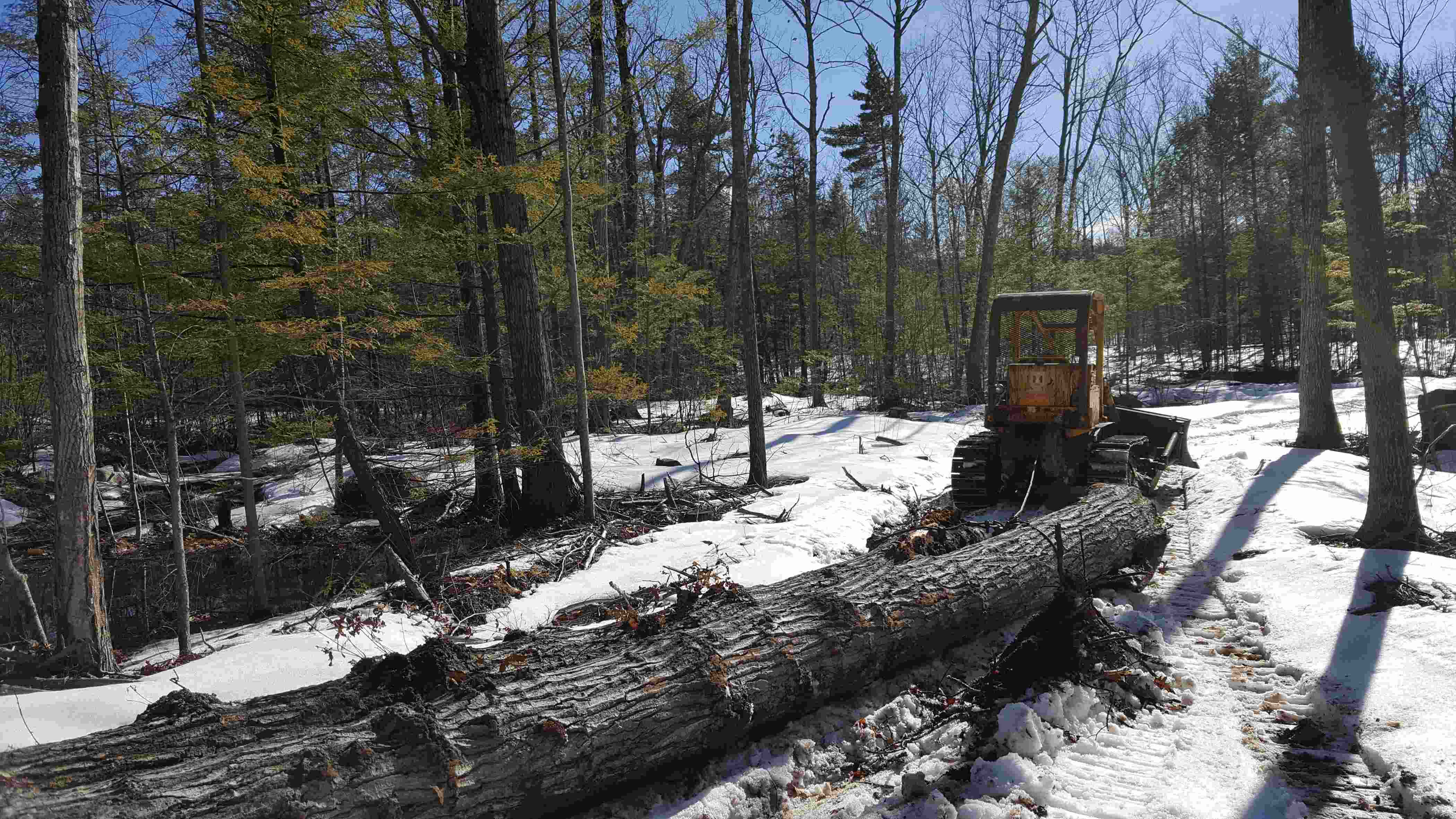 Winter cat logging - IH Construction Equipment - Red Power Magazine ...