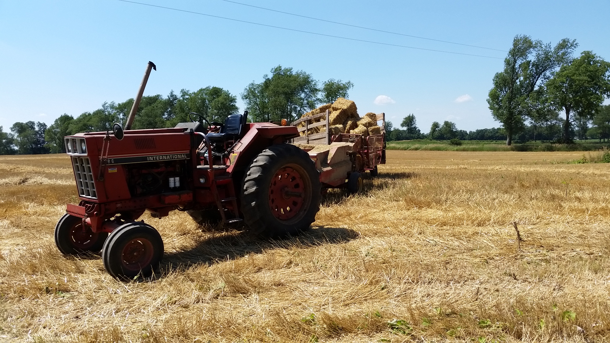 1981 786 - Technical IH Talk - Red Power Magazine Community