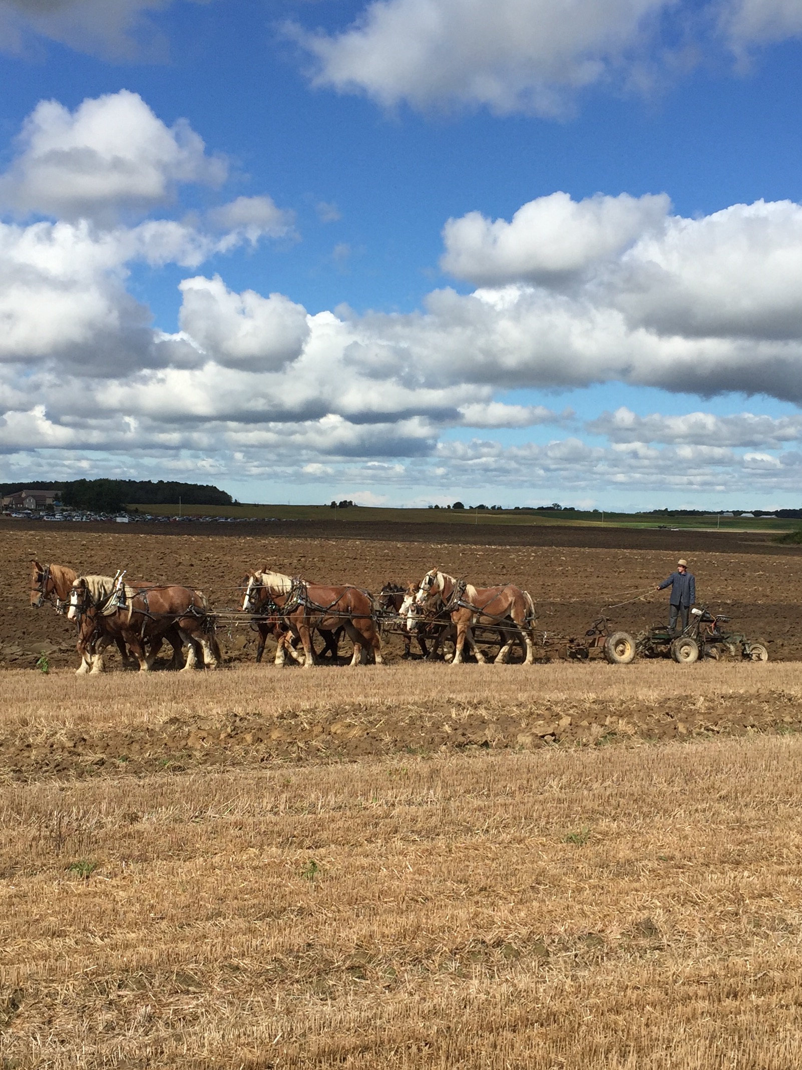 NW Ohio Plow Day 2017 - General Chat - Red Power Magazine Community
