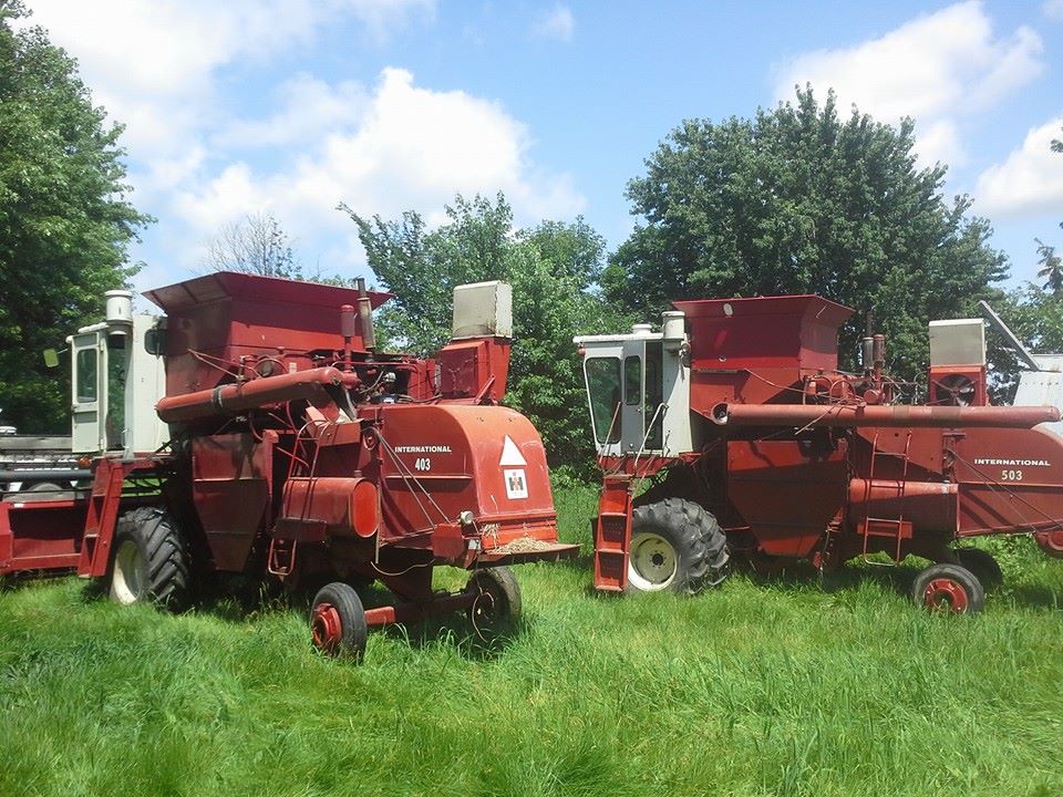 New! We don't even know what new means!!! 503 & 403 combines - General ...