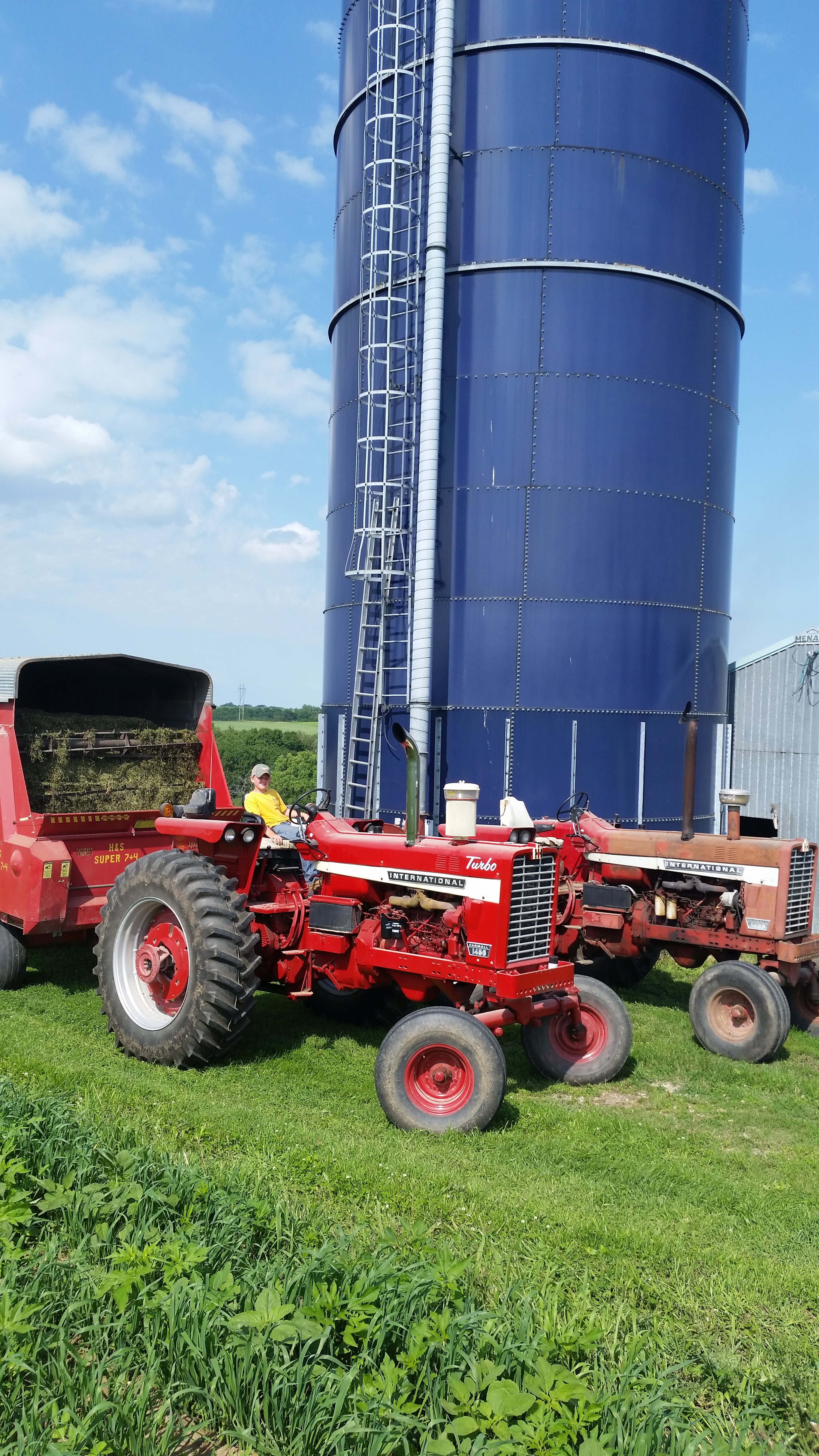 2017 crop year pictures - General Chat - Red Power Magazine Community