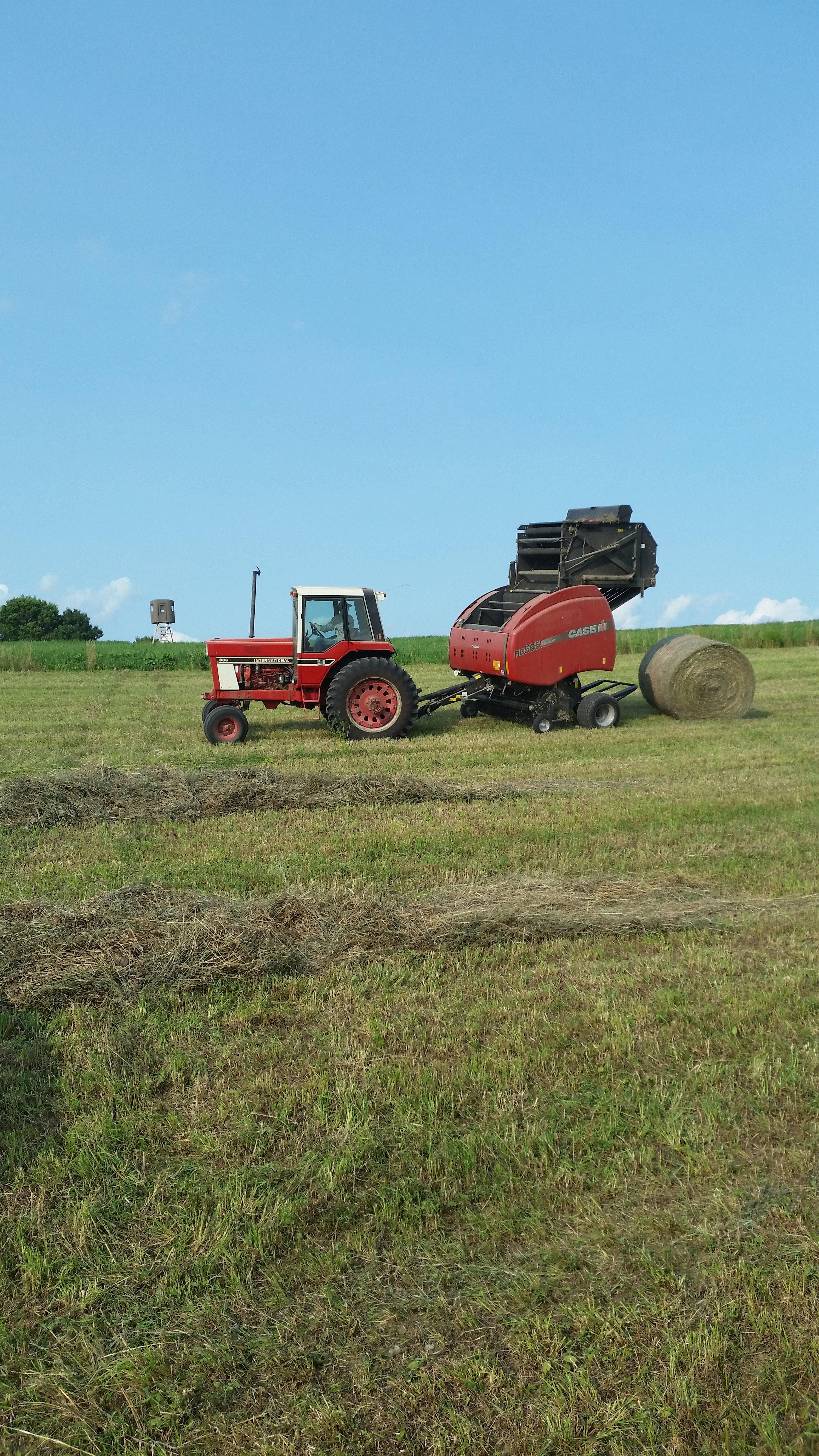 2017 crop year pictures - General Chat - Red Power Magazine Community