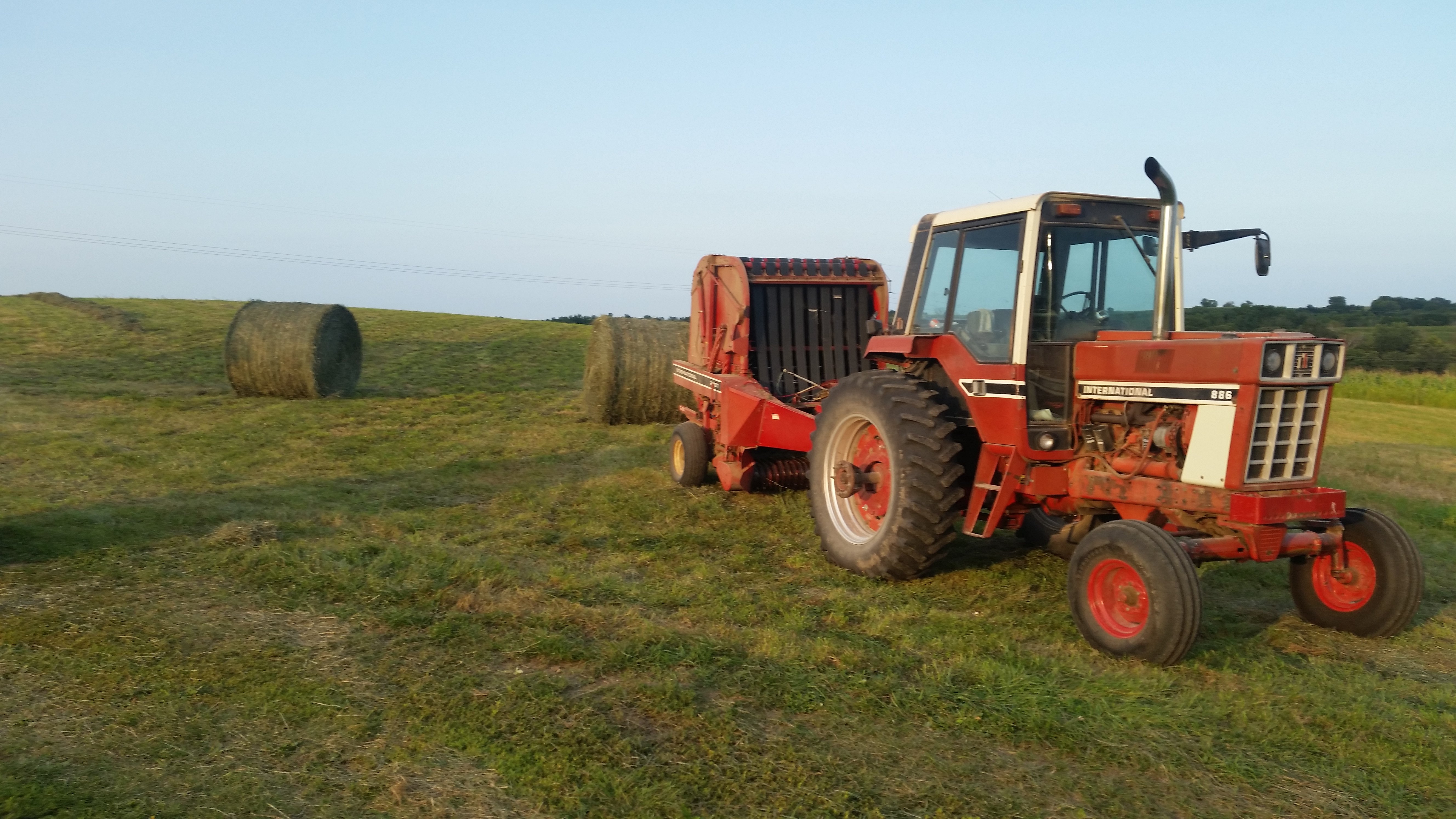 2017 crop year pictures - General Chat - Red Power Magazine Community