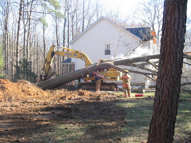 Pushing over Trees VS Digging out Stumps! - IH Construction Equipment ...