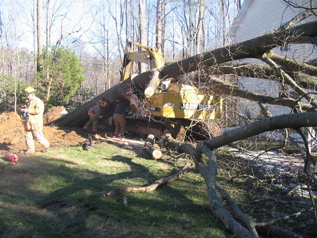 Pushing over Trees VS Digging out Stumps! - IH Construction Equipment ...