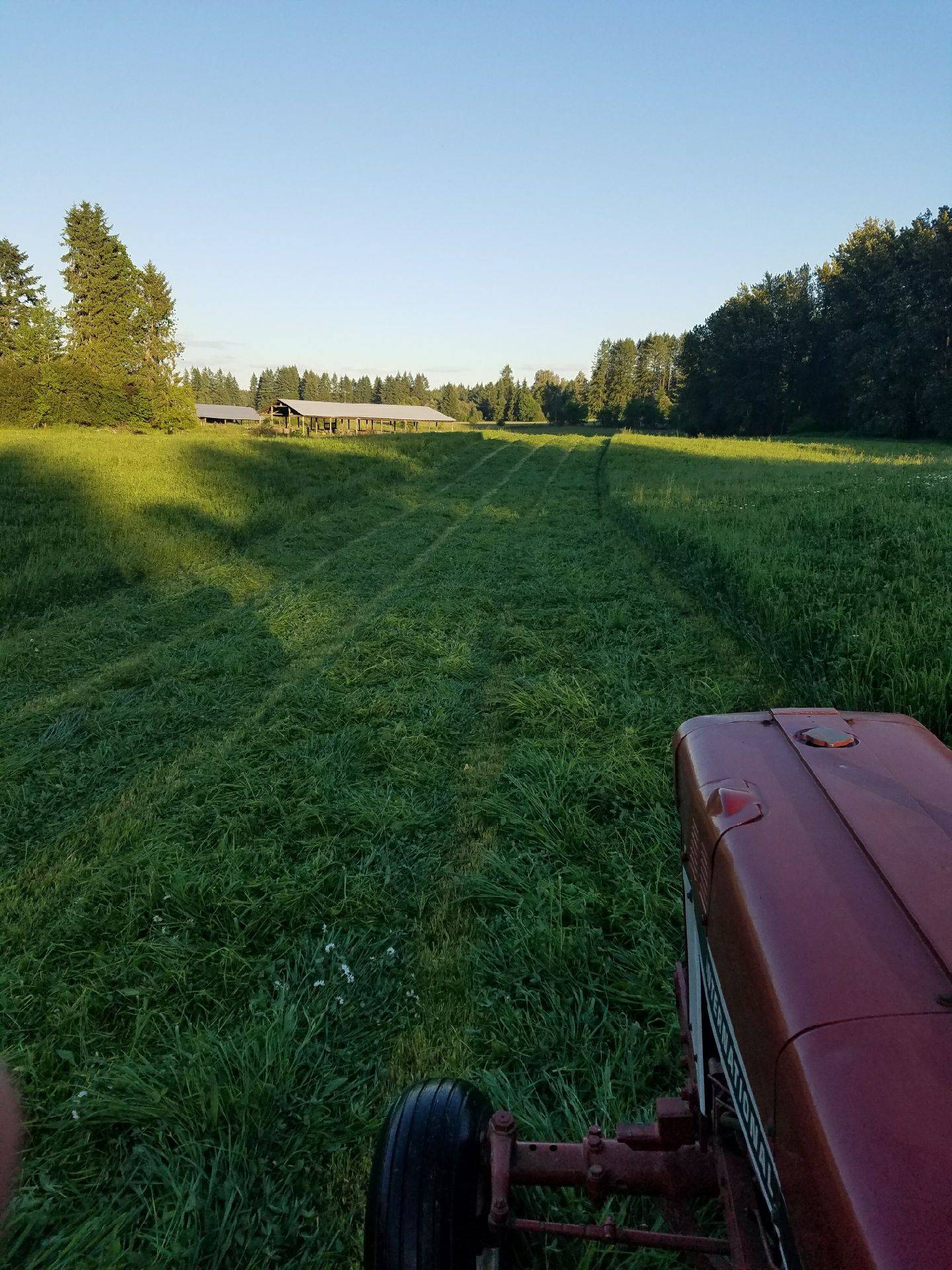 Warm weather pictures - General Chat - Red Power Magazine Community