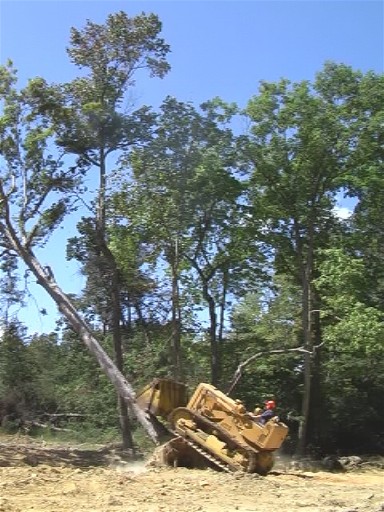 Pushing over Trees VS Digging out Stumps! - IH Construction Equipment ...
