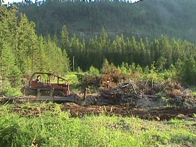 Pushing over Trees VS Digging out Stumps! - IH Construction Equipment ...