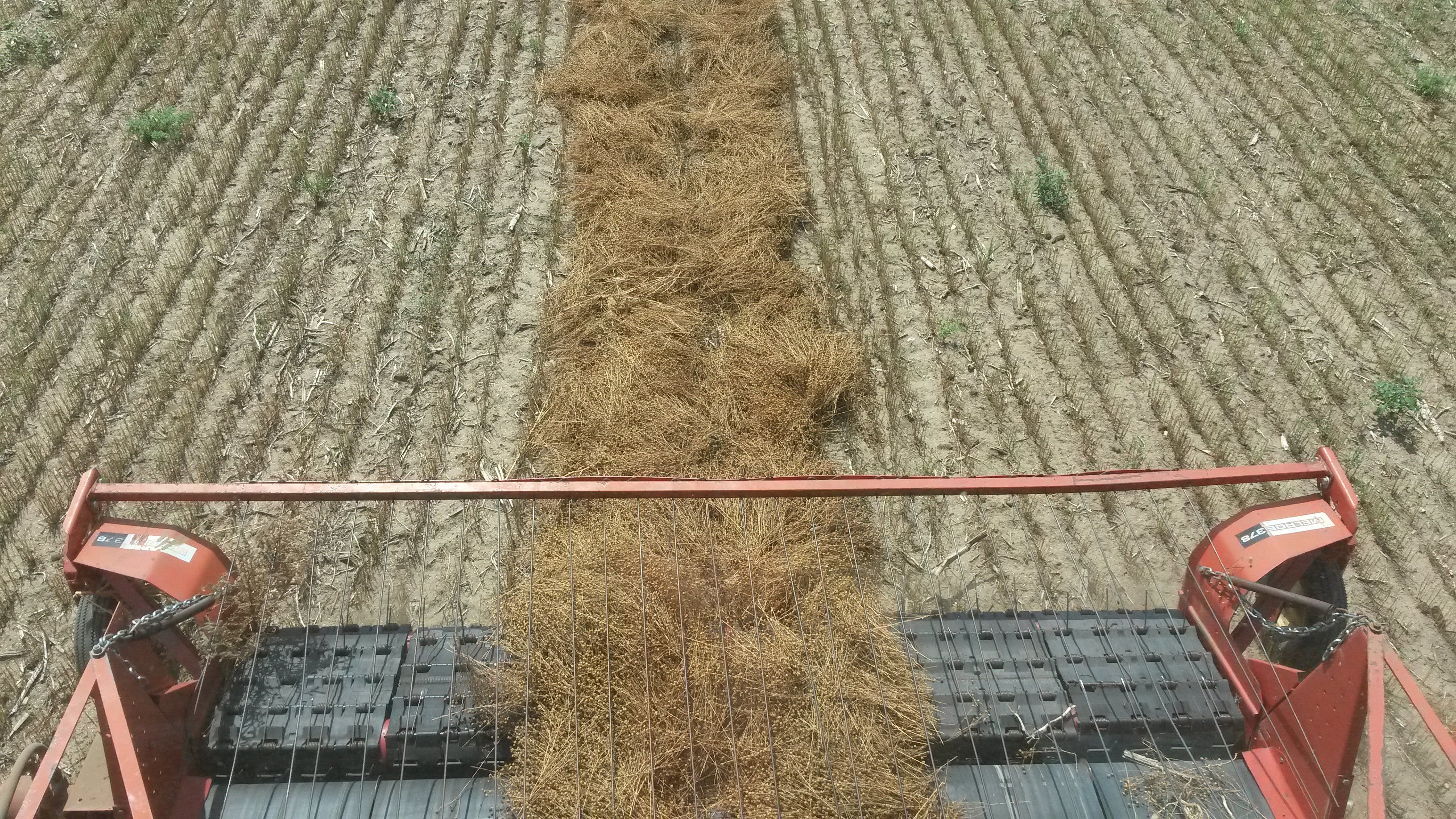 Tell me about swathing small grains - General Chat - Red Power Magazine ...