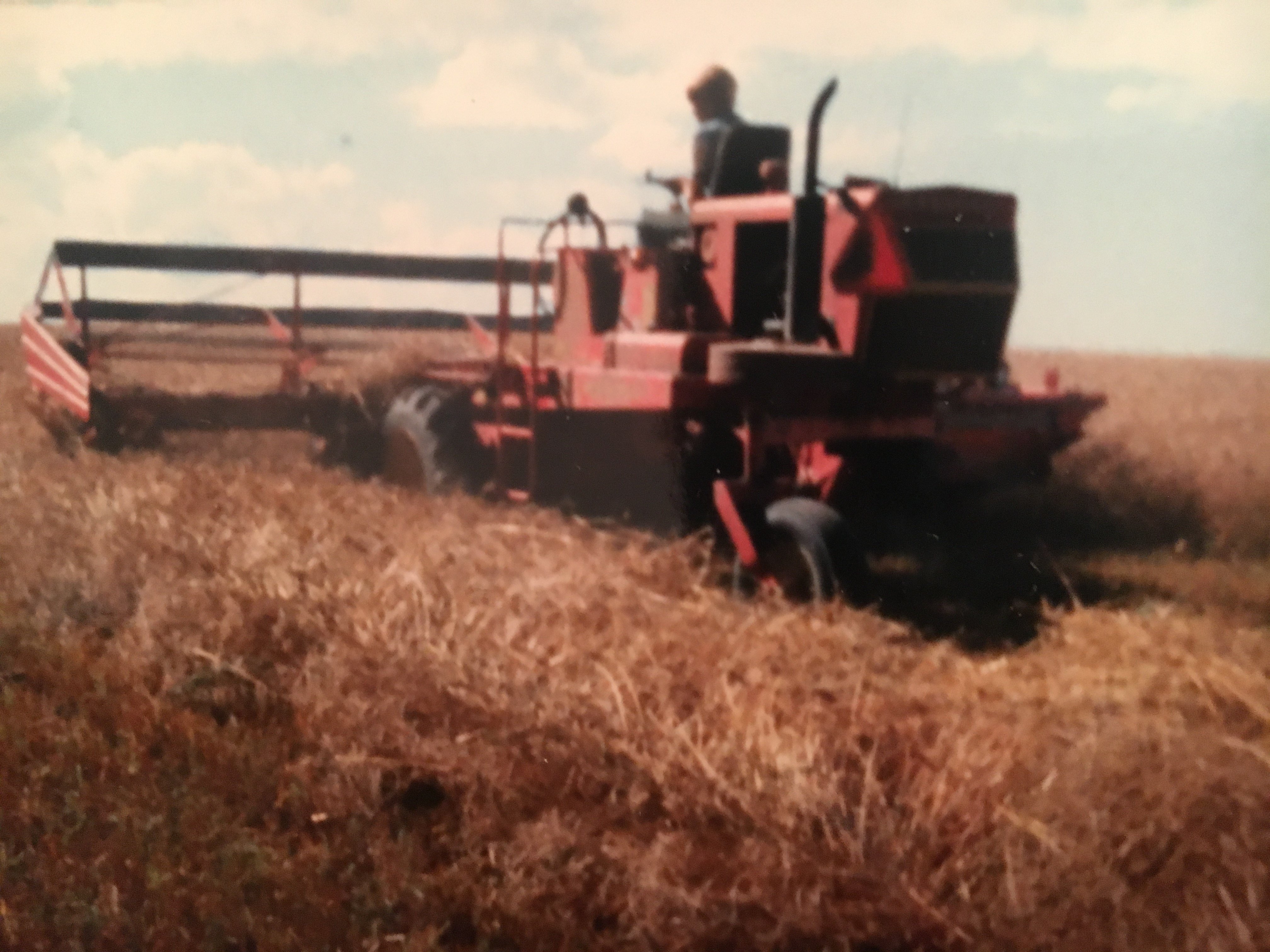Tell me about swathing small grains - General Chat - Red Power Magazine ...