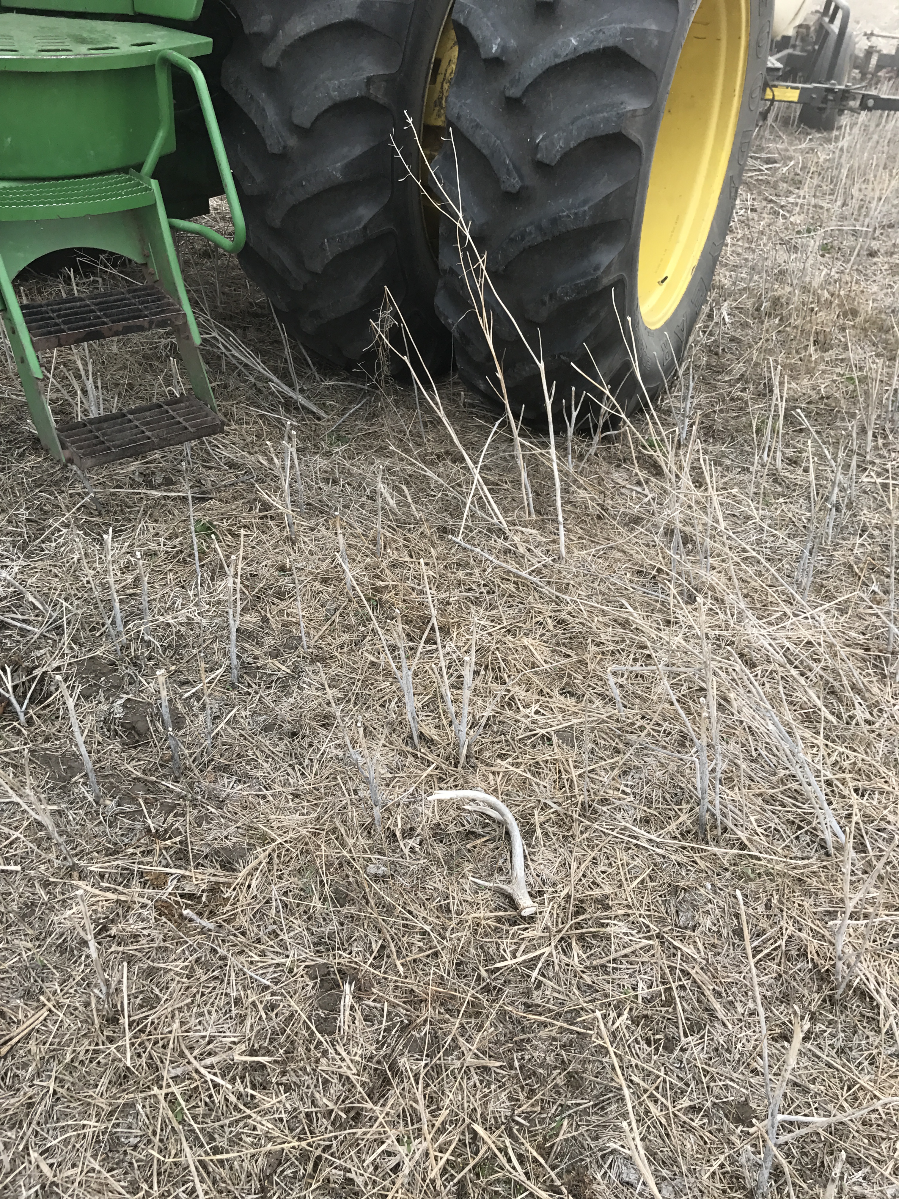 2018 crop pictures - Page 2 - General Chat - Red Power Magazine Community