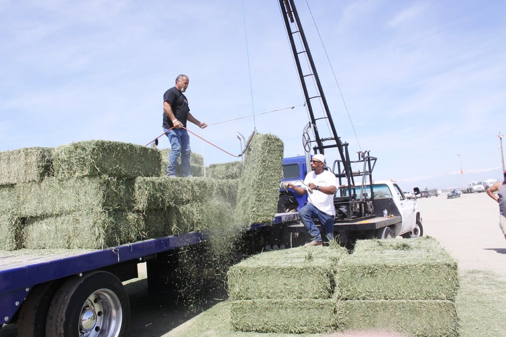 Old School Hay Bucking At CAFES ,Tulare - General Chat - Red Power ...