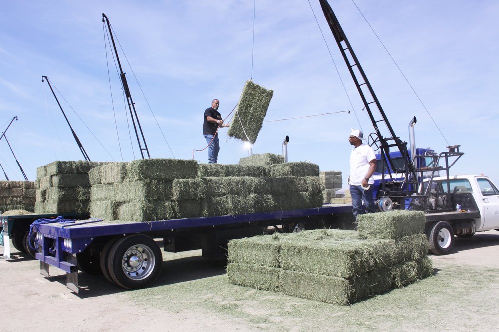 Old School Hay Bucking At CAFES ,Tulare - General Chat - Red Power ...