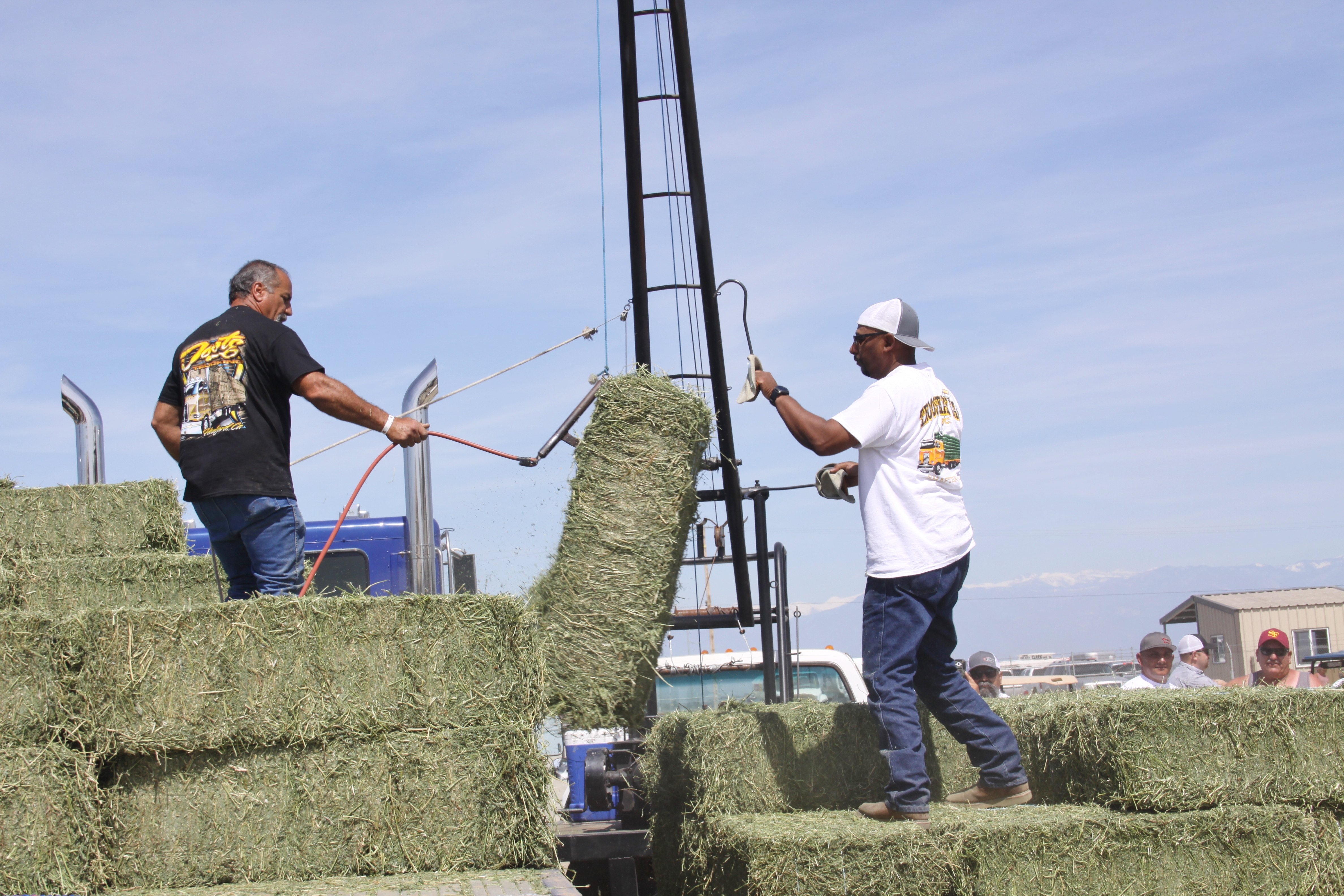 Old School Hay Bucking At CAFES ,Tulare - General Chat - Red Power ...