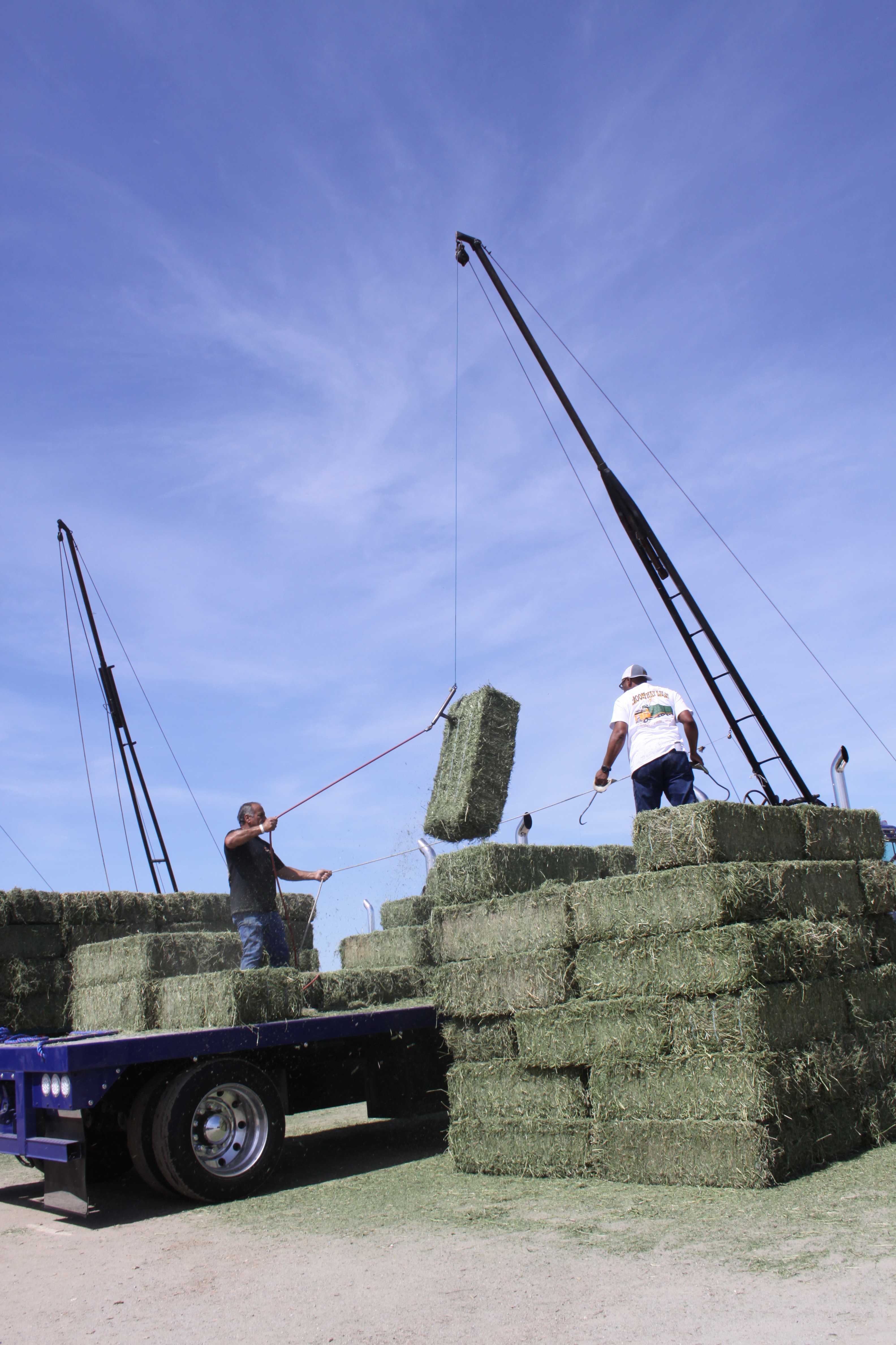 Old School Hay Bucking At CAFES ,Tulare - General Chat - Red Power ...