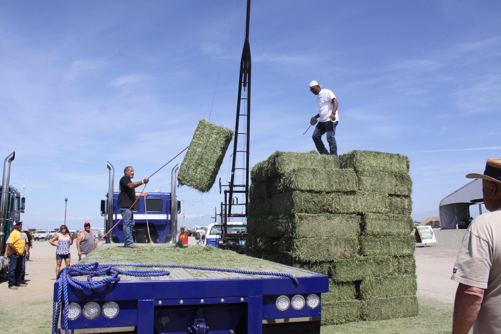 Old School Hay Bucking At CAFES ,Tulare - General Chat - Red Power ...
