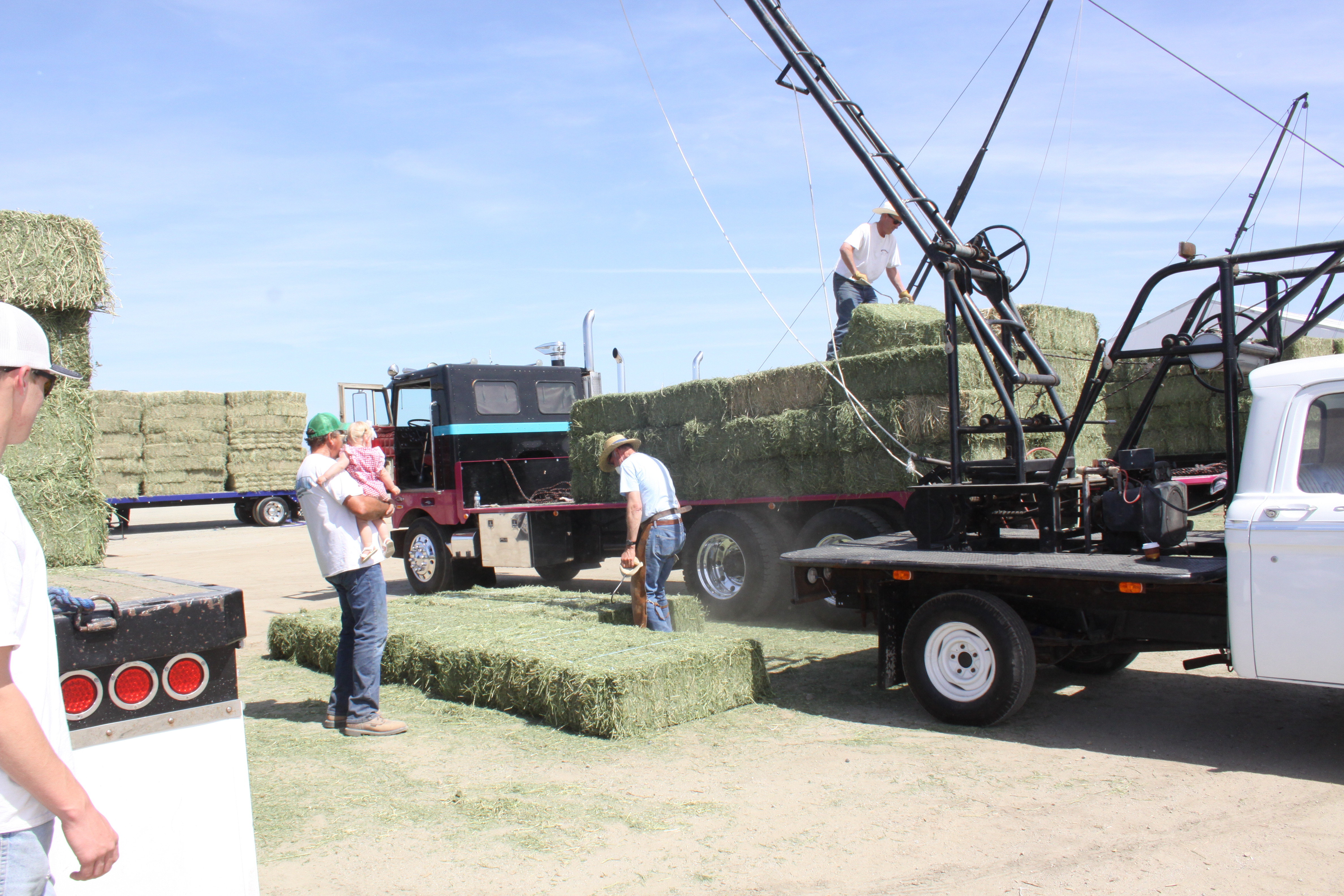 Old School Hay Bucking At CAFES ,Tulare - General Chat - Red Power ...