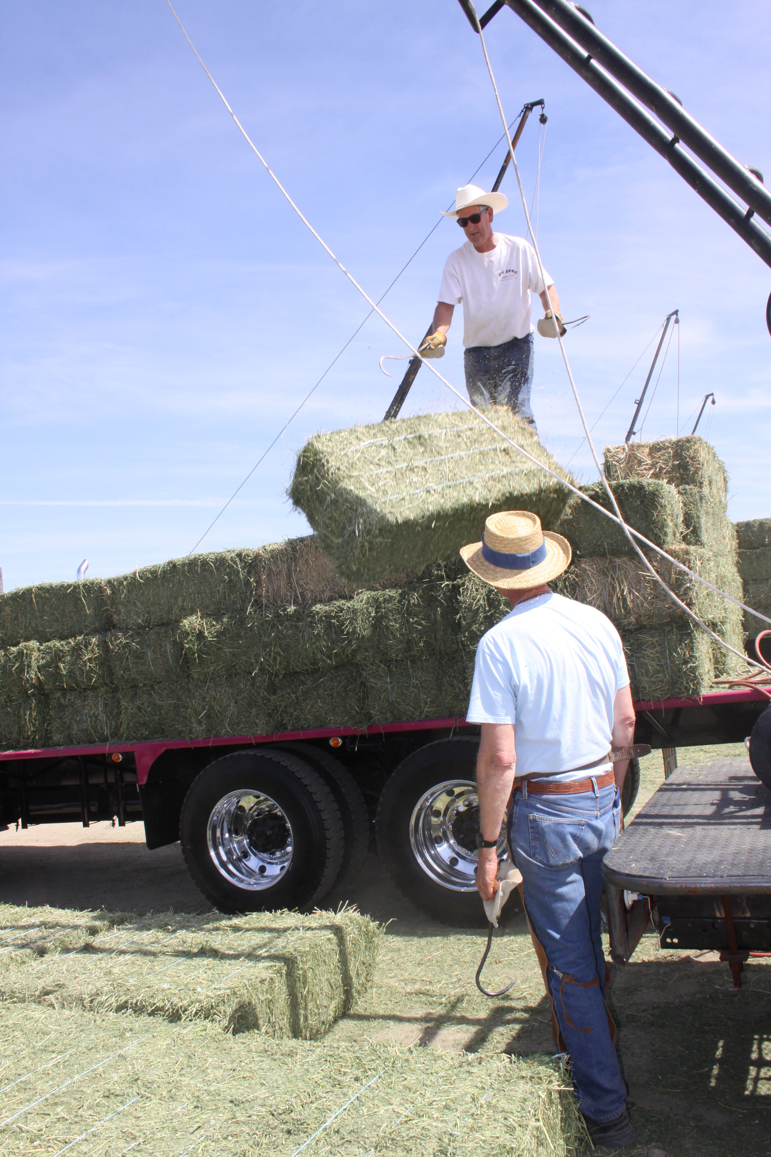 Old School Hay Bucking At CAFES ,Tulare - General Chat - Red Power ...