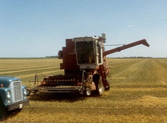 IH 503 and 403 combines - General Chat - Red Power Magazine Community