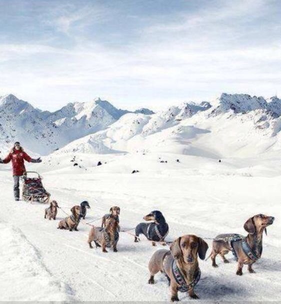 Copper Dog 150 - General Chat - Red Power Magazine Community