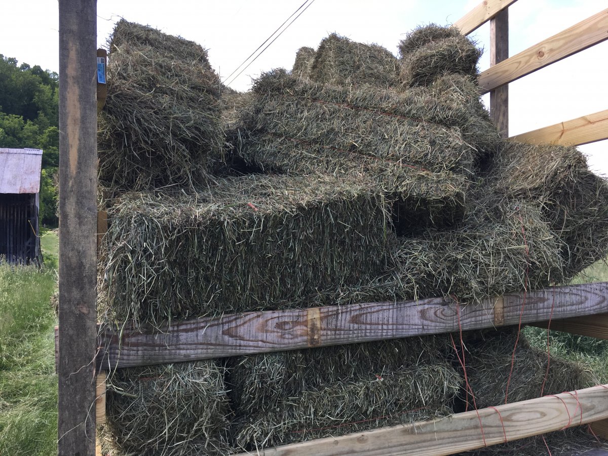 Small Square Hay - General Chat - Red Power Magazine Community