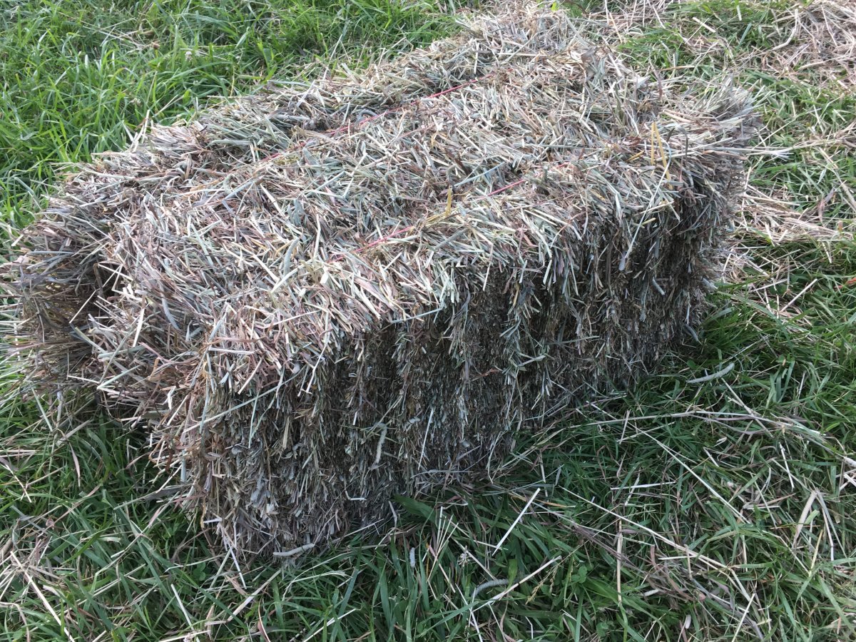 Small Square Hay - General Chat - Red Power Magazine Community