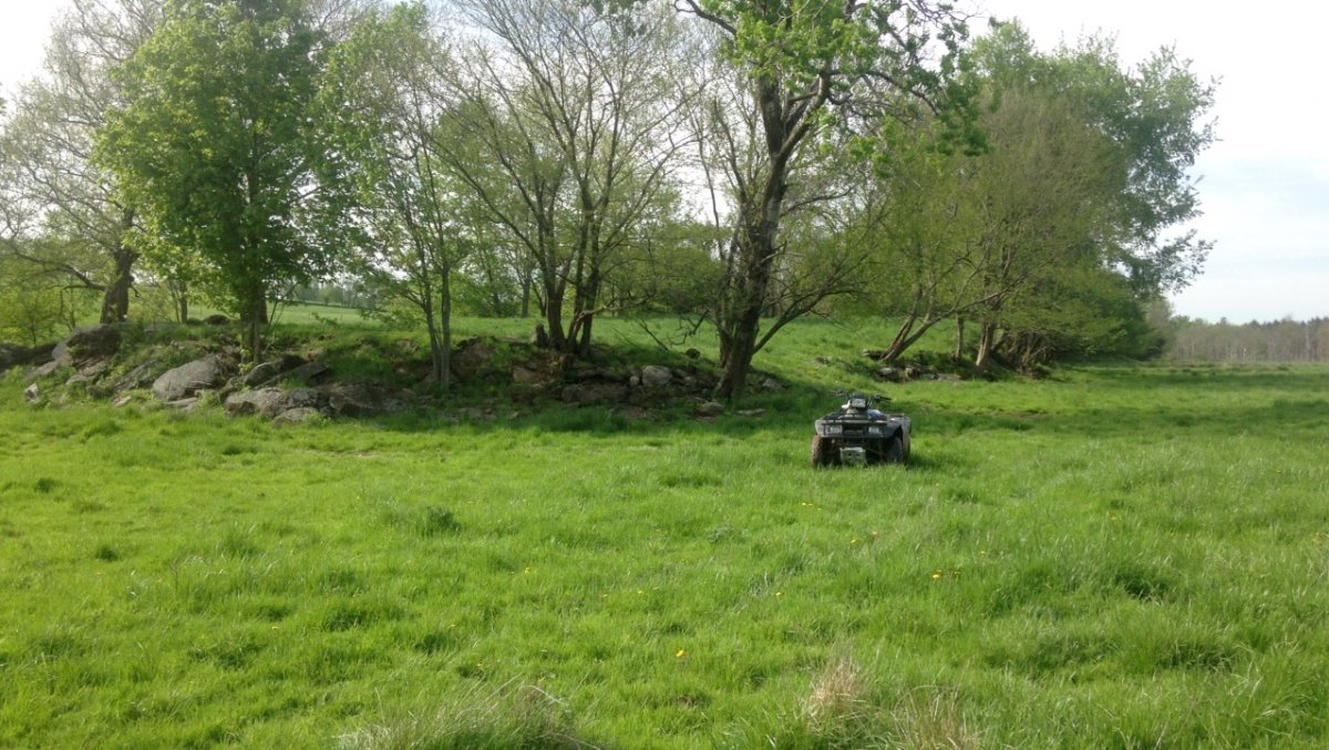 So you think you’ve got rocks..... - Page 2 - General Chat - Red Power ...